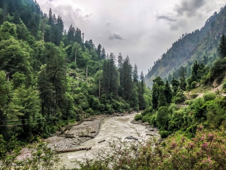 Not Your Typical Travel Guide to Parvati Valley | On My Canvas