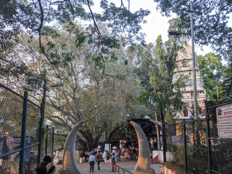 Who Knew Basavanagudi in Bangalore Could Be So Beautiful | On My Canvas