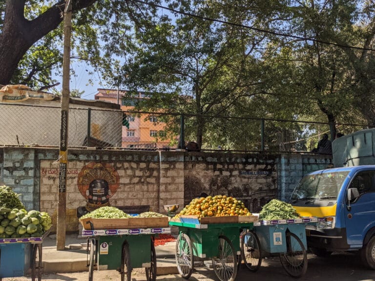 Who Knew Basavanagudi in Bangalore Could Be So Beautiful | On My Canvas